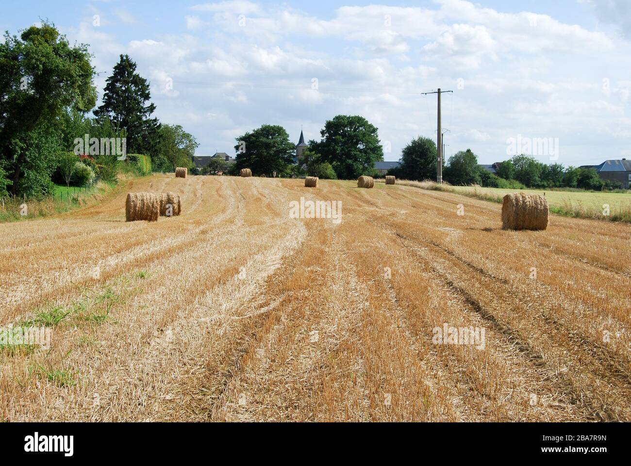 Summer field of hay and harvest with haystacks in a small village ...