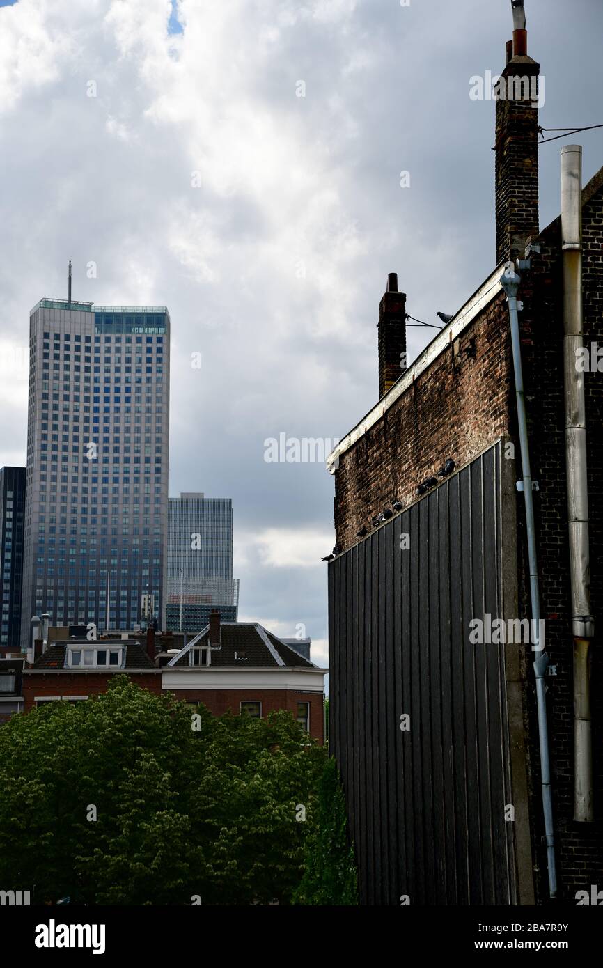 Rotterdam, The Netherlands - September 2019; view from Kop van Zuid ...