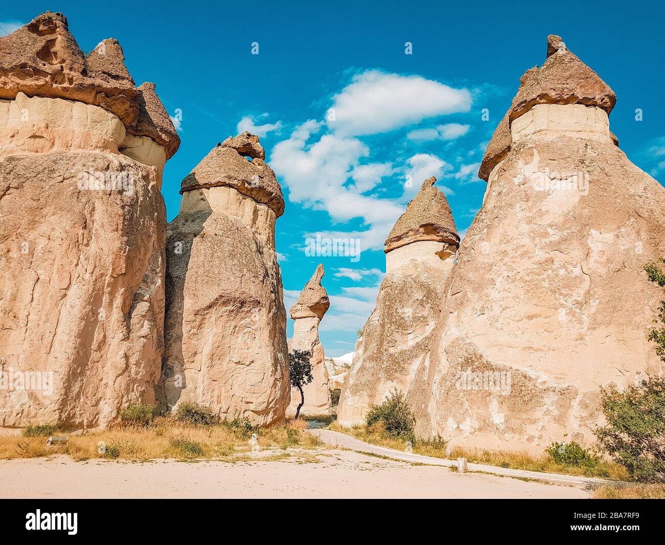 Turkey Cappadocia, Rock Formations in Pasabag Monks Valley, Cappadocia ...
