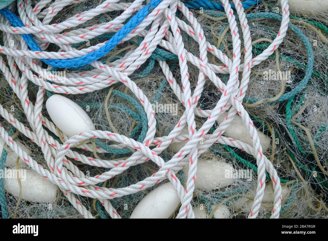 Tangled Fishing Rope High Resolution Stock Photography and Images - Alamy