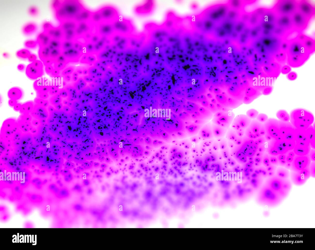 Purple and magenta colorful patches, potassium permanganate solution ...