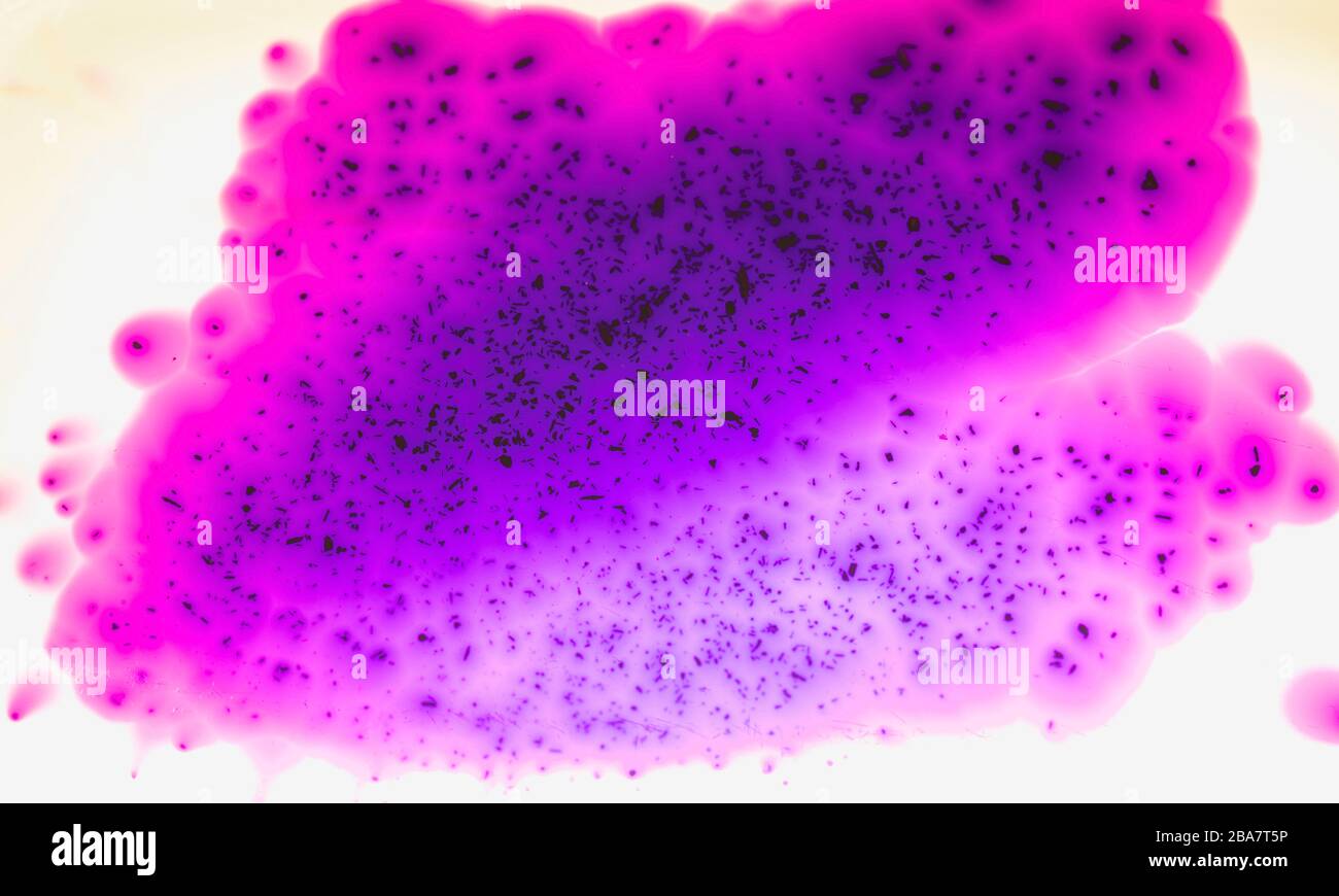 Purple and magenta colorful patches, potassium permanganate solution ...
