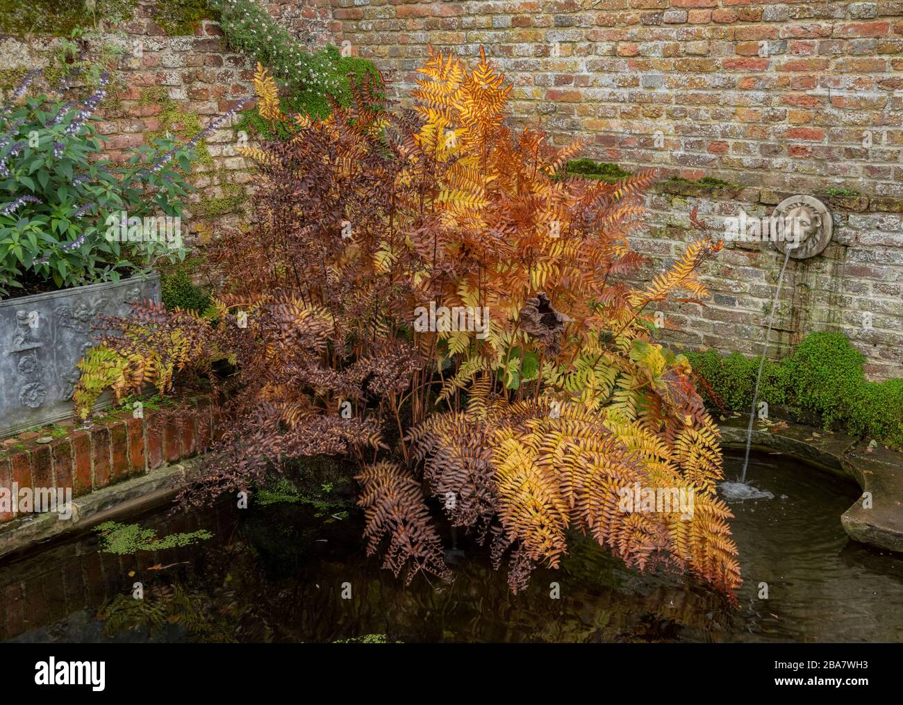 Wetland Garden High Resolution Stock Photography and Images - Alamy