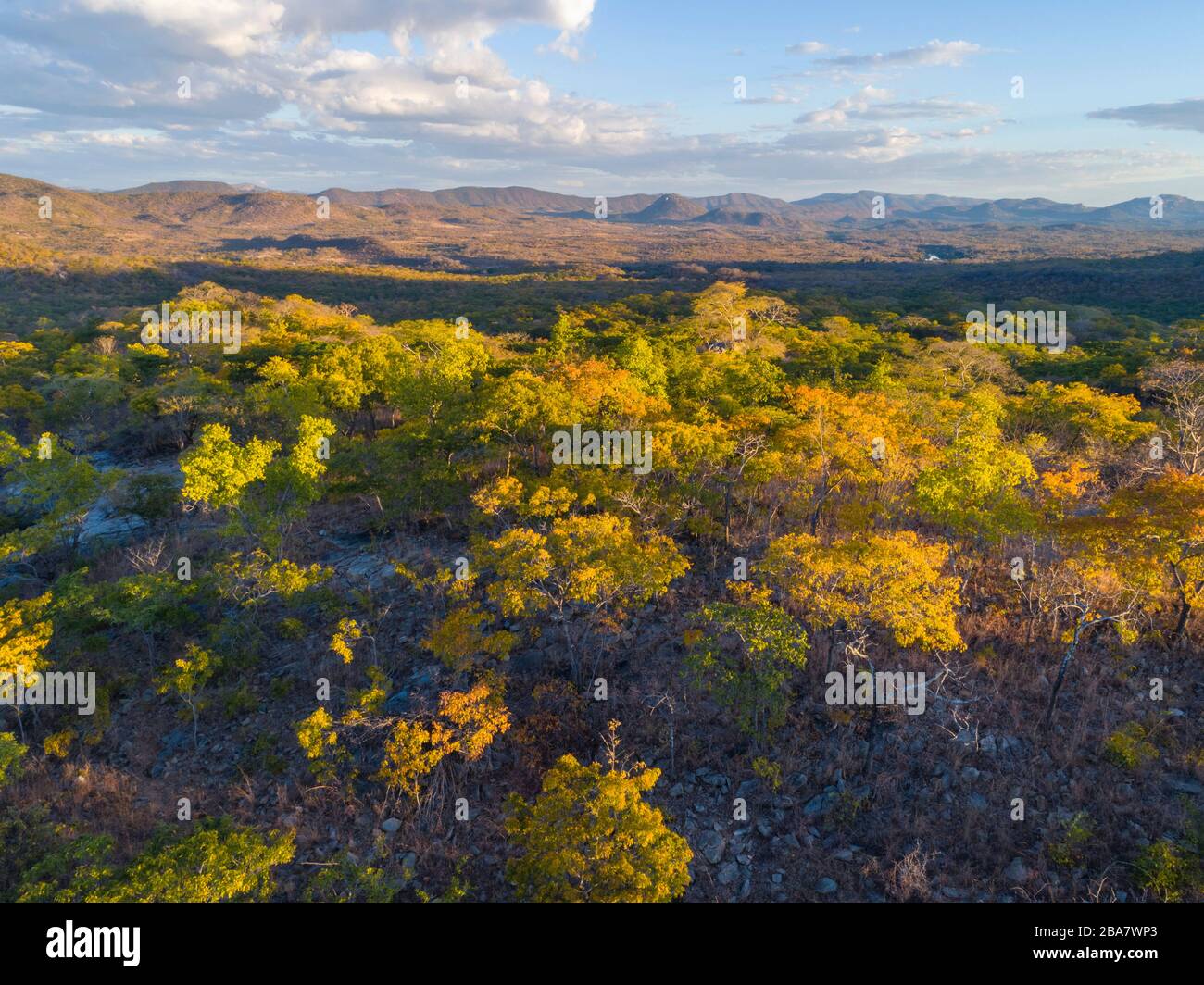 An aerial view of lush spring vegetation in Zimbabwe Stock Photo - Alamy