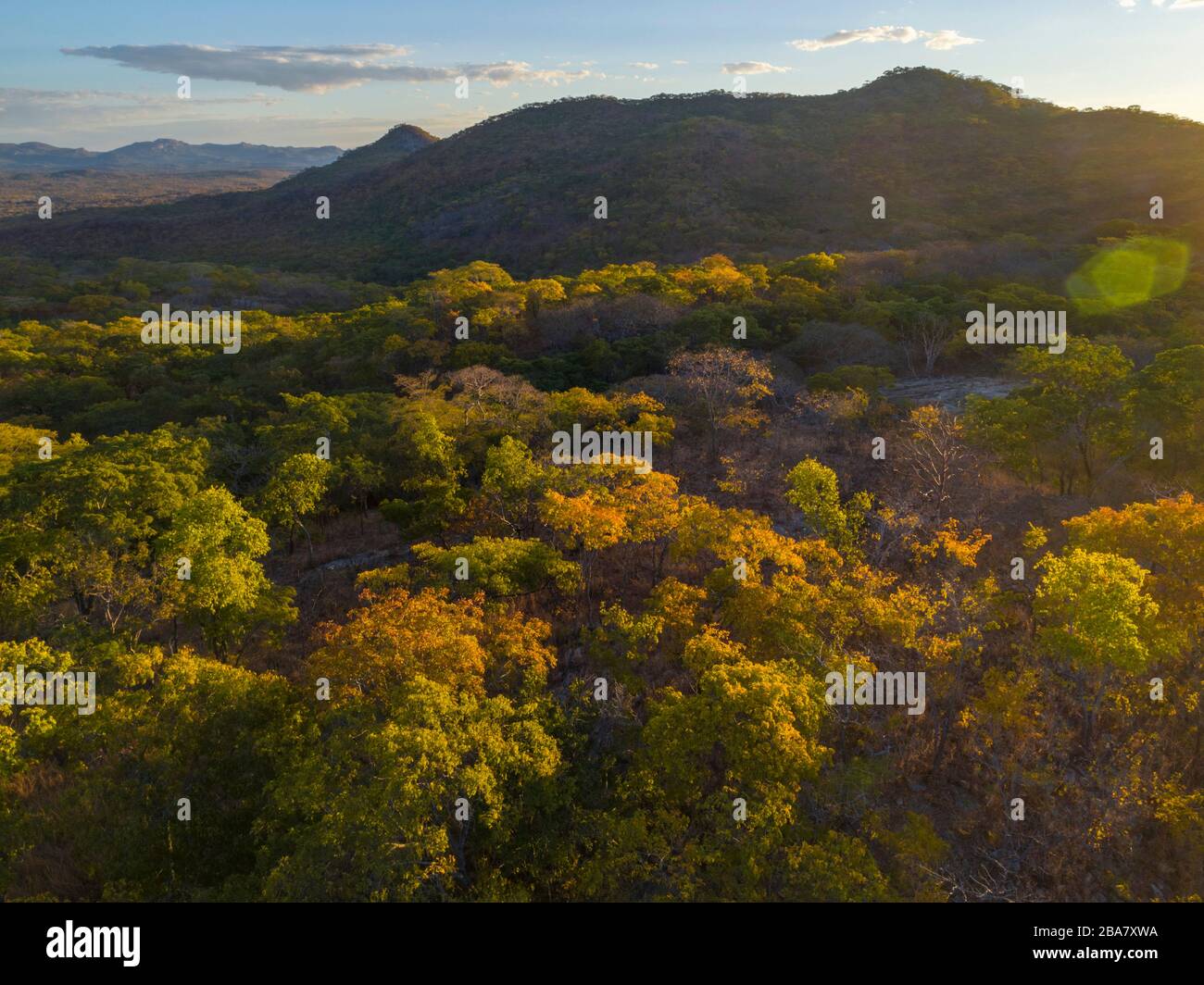 An aerial view of lush spring vegetation in Zimbabwe Stock Photo - Alamy