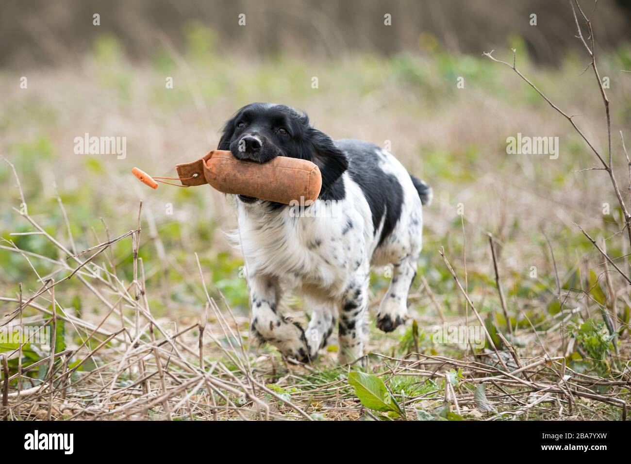 Retrieving Dummy High Resolution Stock Photography and Images - Alamy