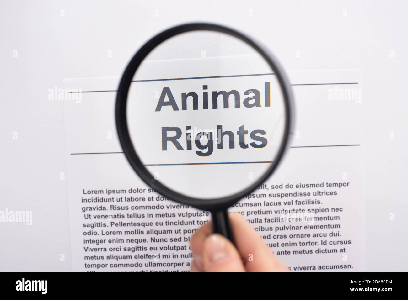 partial view of woman holding magnifier on animal rights inscription on ...