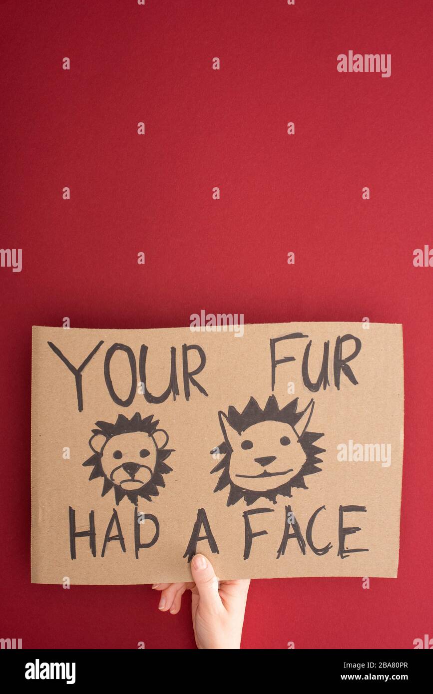 partial view of woman holding cardboard sign with your fur had a face ...