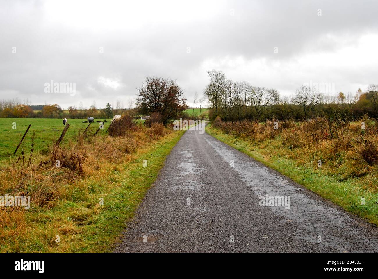 Country field road on a grey cloudy day. Rural and landscape ...