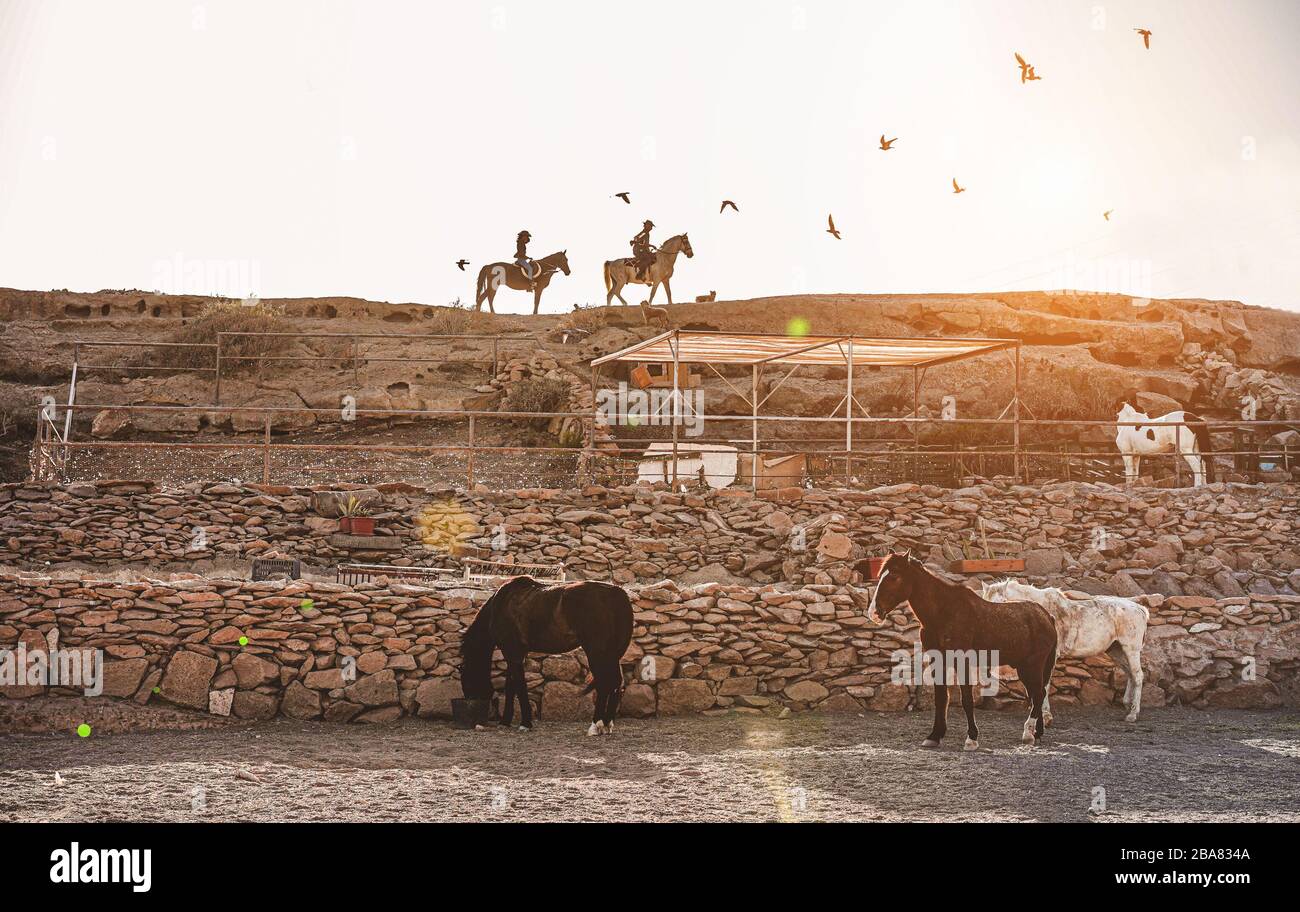Young people riding horses doing excursion at sunset - Wild couple ...