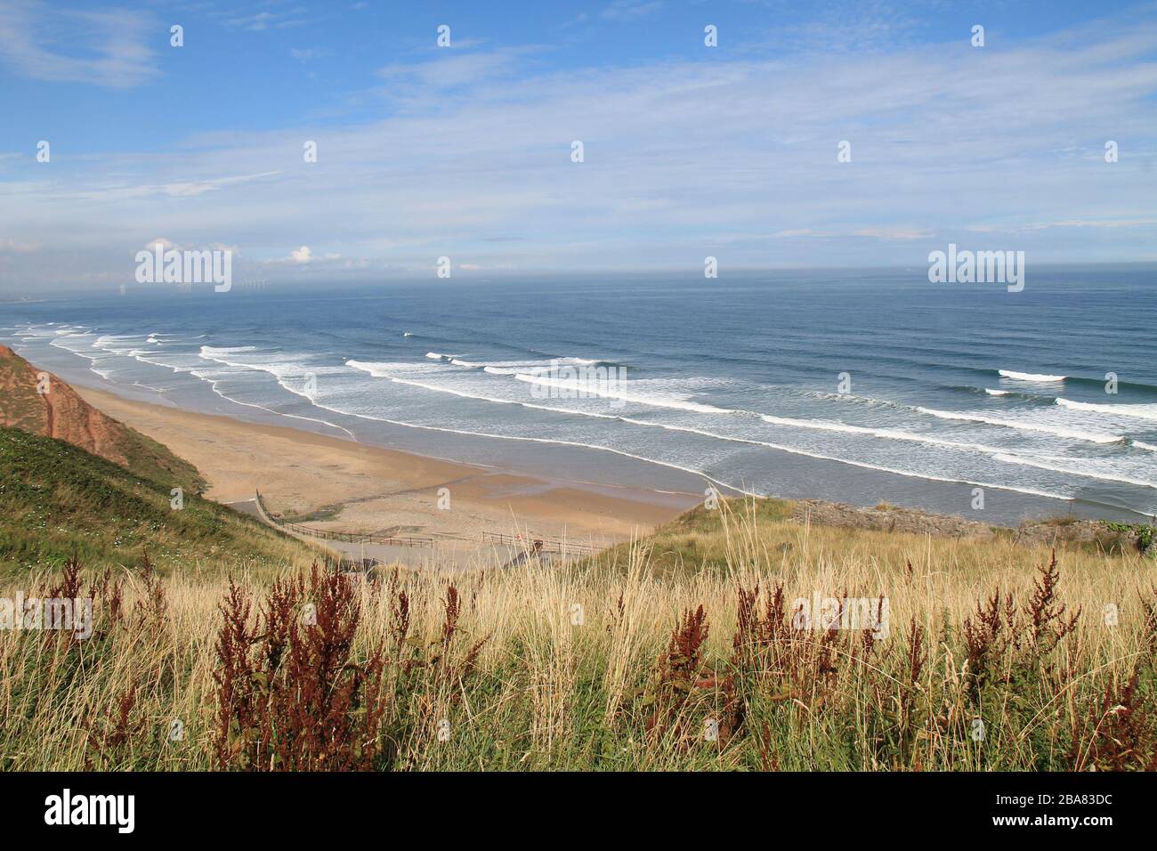 View of a Beach and Offshore Wind Farm from a Clifftop Stock Photo - Alamy