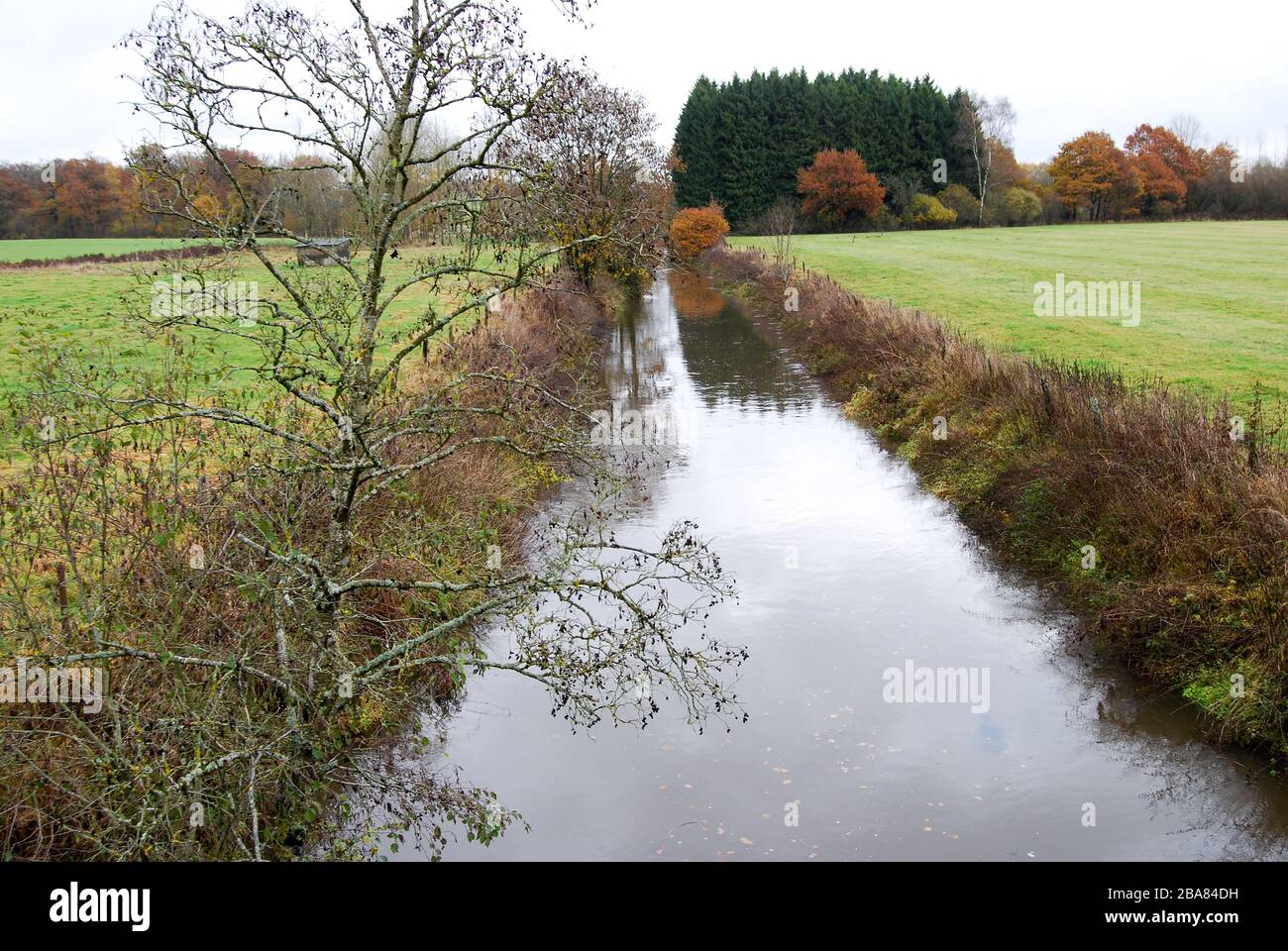 River in an autumn landscape. Water in a countryside field with trees ...