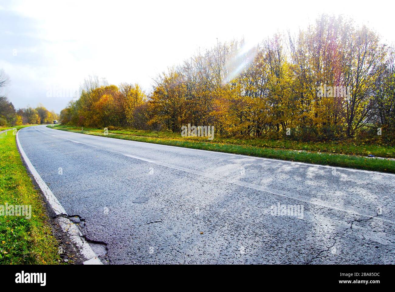 Autumn forest road landscape. Trees in fall season nature with an ...
