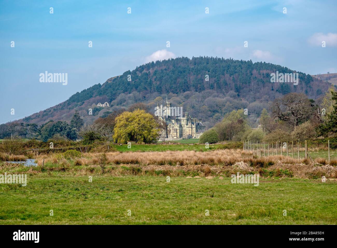 Castle park neath south wales hi-res stock photography and images - Alamy