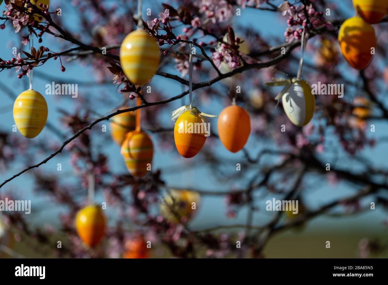Moritzburg, Germany. 23rd Mar, 2020. Easter eggs are hanging from a ...