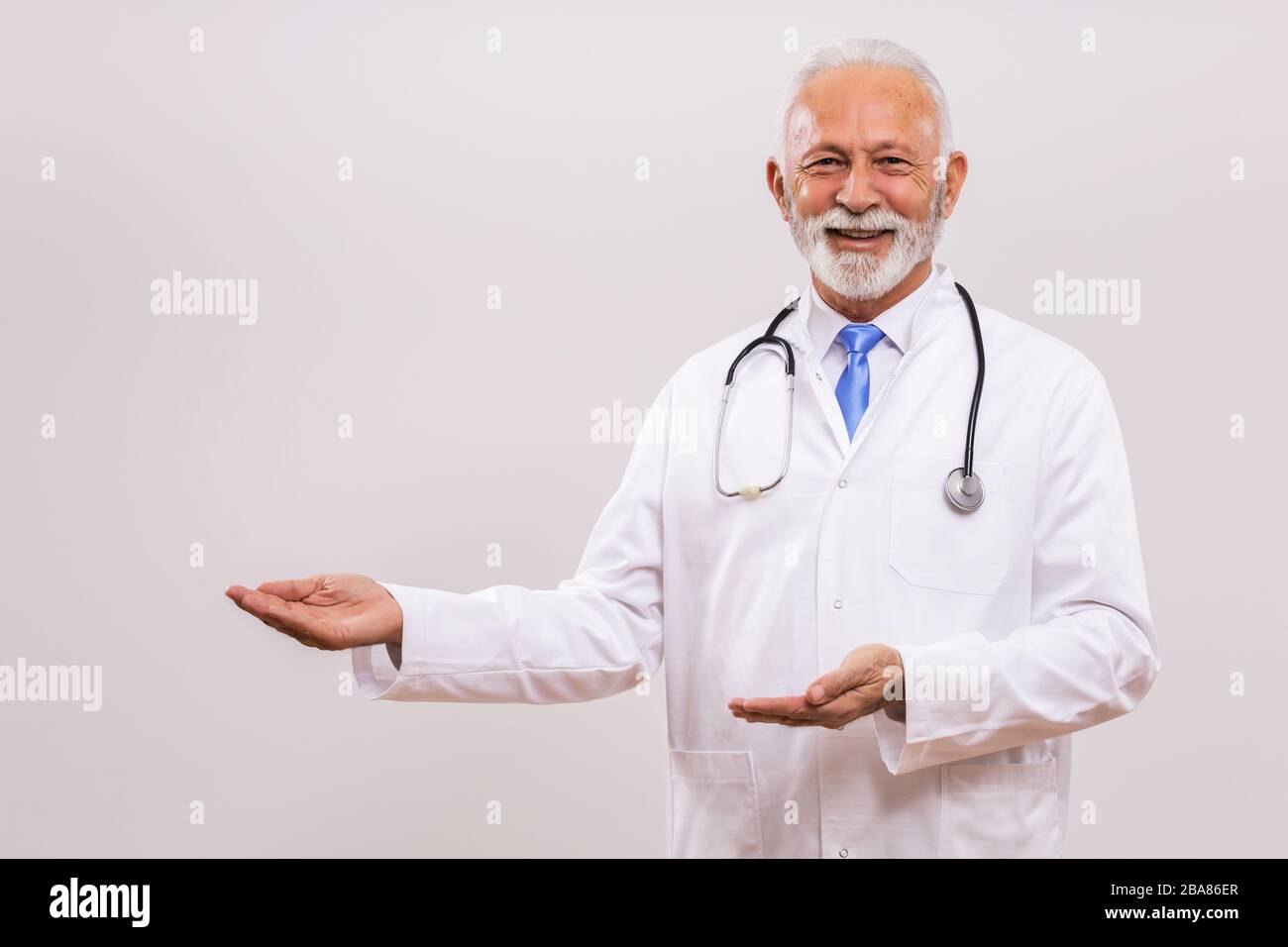 Portrait of doctor showing welcome gesture on gray background Stock ...