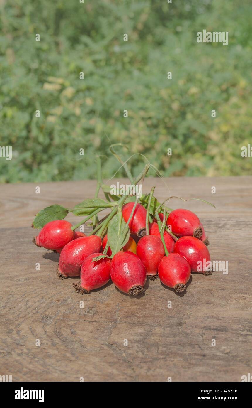 Hawthorn on wooden rustic table background. Rose hips haw fruit of the ...