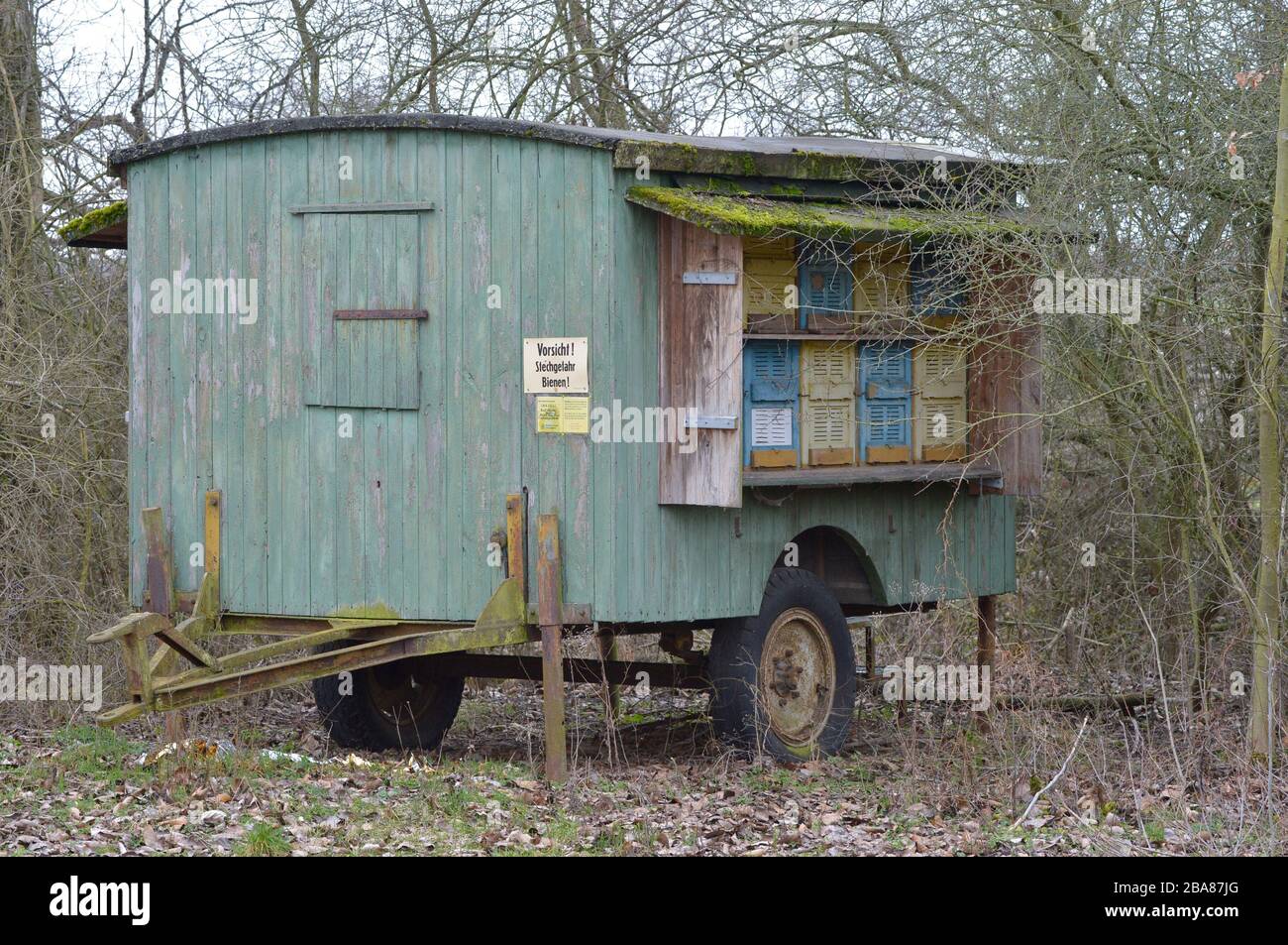 Leipzig, Germany. 29th Feb, 2020. "Beware of stinging bees!" - A bee ...