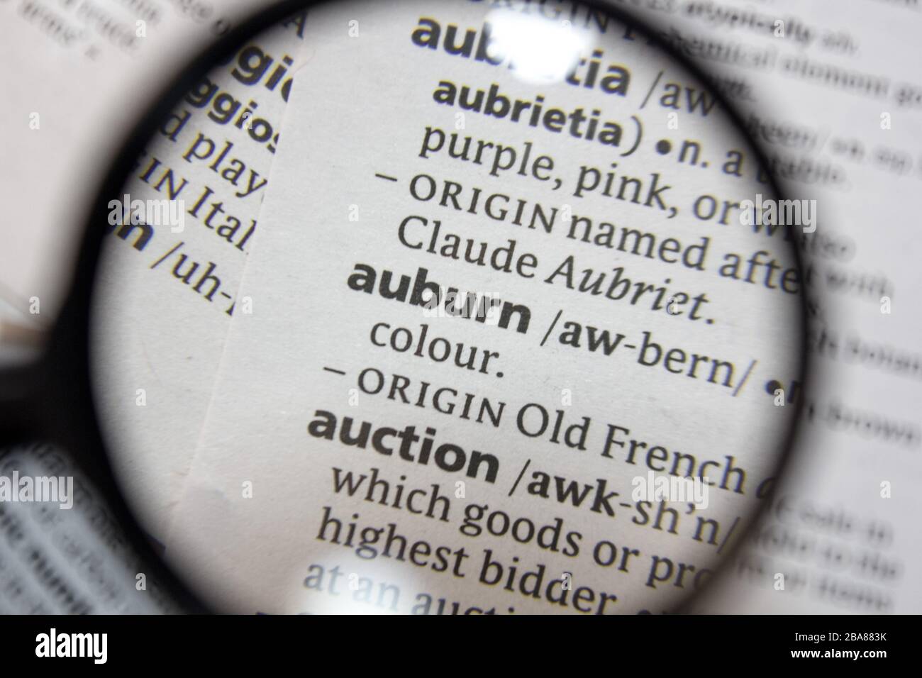 The word of phrase auburn in a dictionary Stock Photo - Alamy
