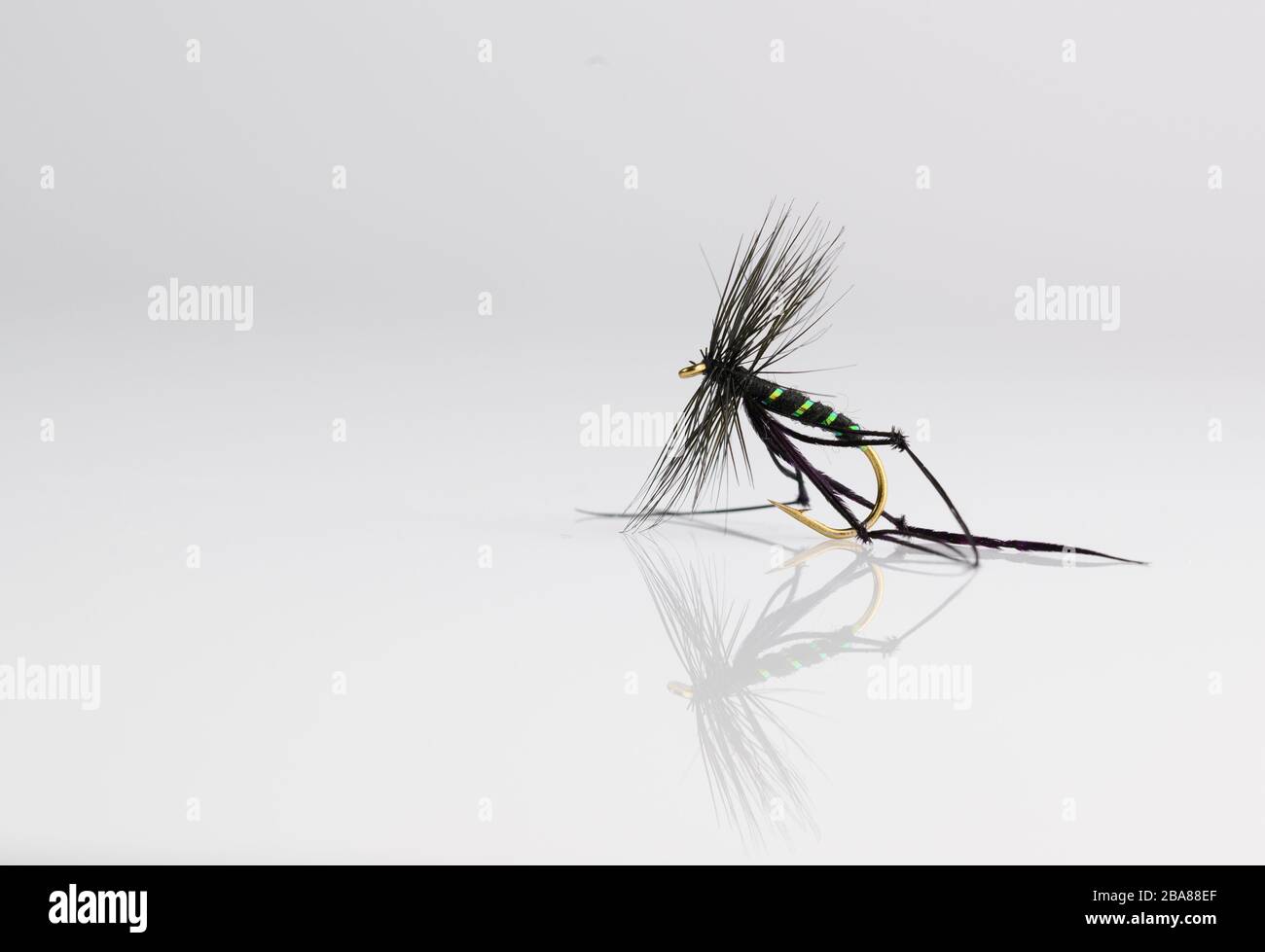 Traditional Black Hopper Dry Fly Fishing fly against a white background ...