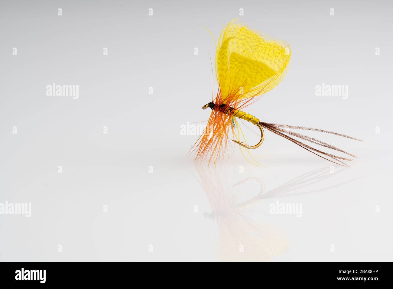 Traditional yellow Mayfly Dry Fly Fishing fly against a white ...