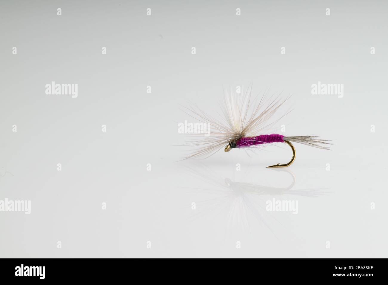 Traditional Blue Winged purple Parachute Dry Fly Fishing fly against a ...