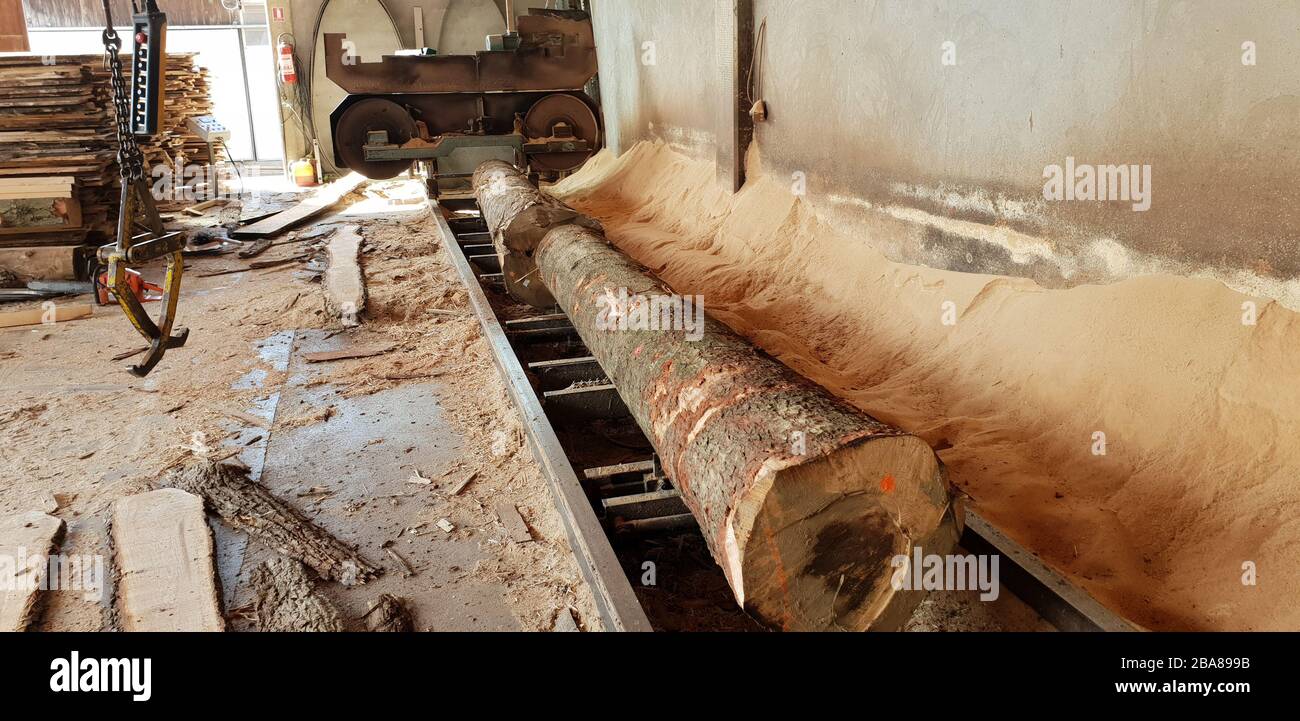 Sawing timber of machining logs in sawmill Stock Photo - Alamy