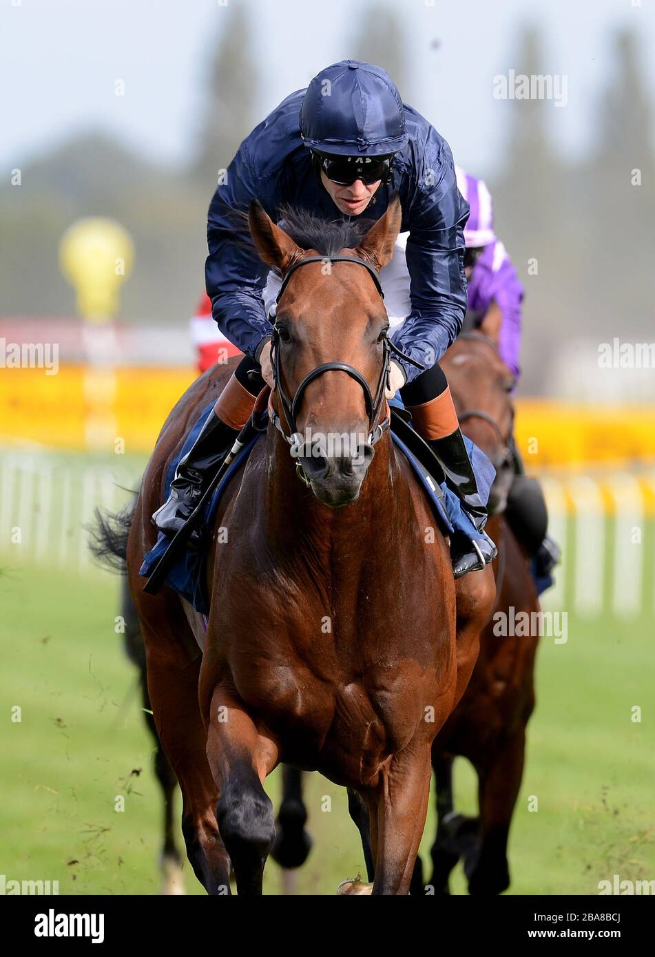 Wentworth ridden by Richard Hughes winners of the Haynes, Hanson ...