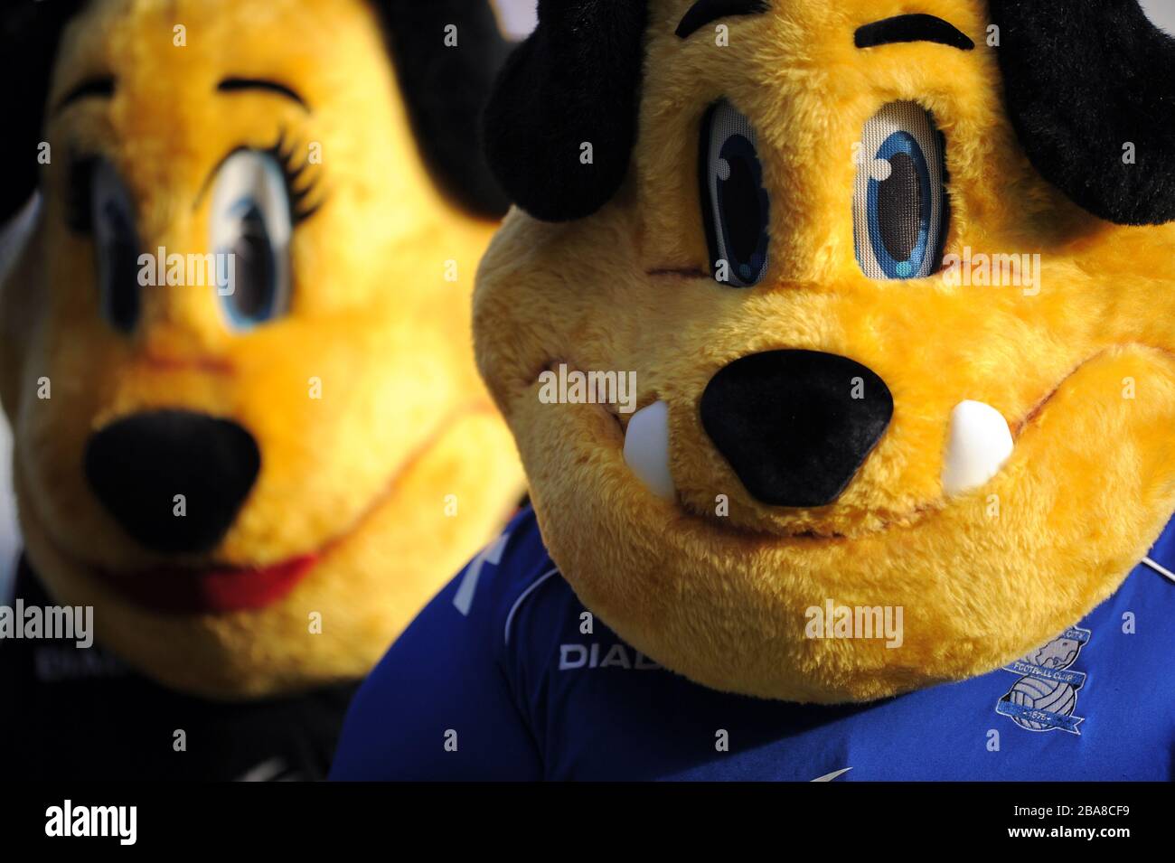 Birmingham City mascot Belle Brummie (l) and Beau Brummie Stock Photo ...