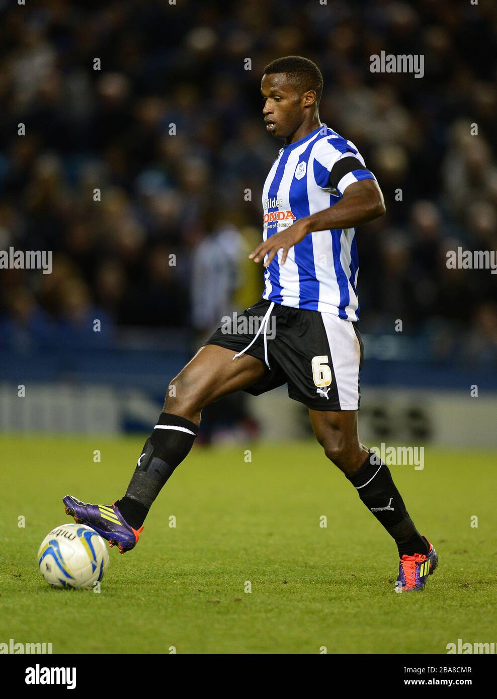 Jose semedo hi-res stock photography and images - Alamy