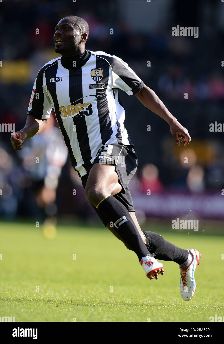 Zoko hi-res stock photography and images - Alamy