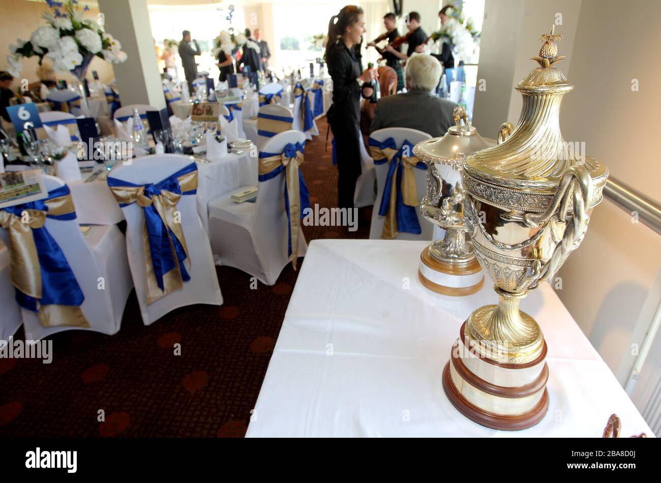 Trophies Box High Resolution Stock Photography and Images - Alamy