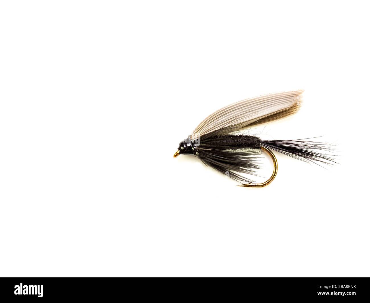 Traditional Wet Fly fishing fly for trout, Black Gnat Stock Photo - Alamy