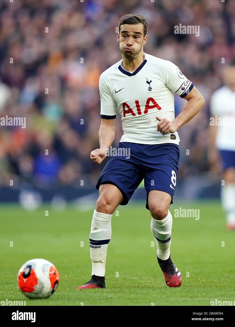 tottenham-hotspurs-harry-winks-hi-res-stock-photography-and-images-alamy