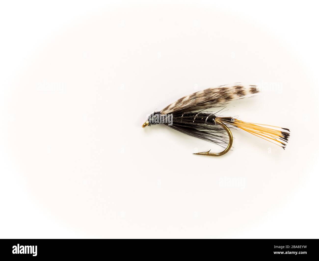 Traditional Wet Fly fishing fly for trout, Teal & black Stock Photo - Alamy