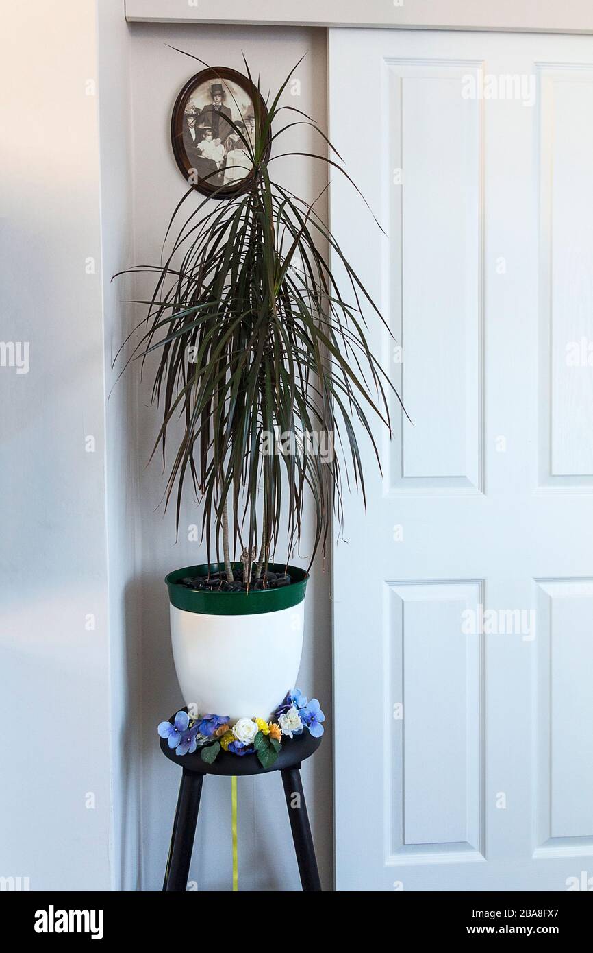 White house blue trim hi-res stock photography and images - Alamy