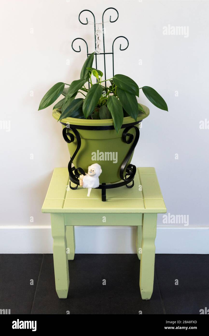 Black metal metalwork pot plant stand hi-res stock photography and ...