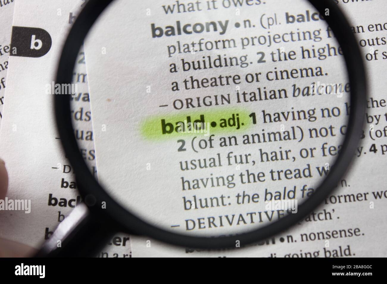 The word or phrase bald in a dictionary Stock Photo - Alamy