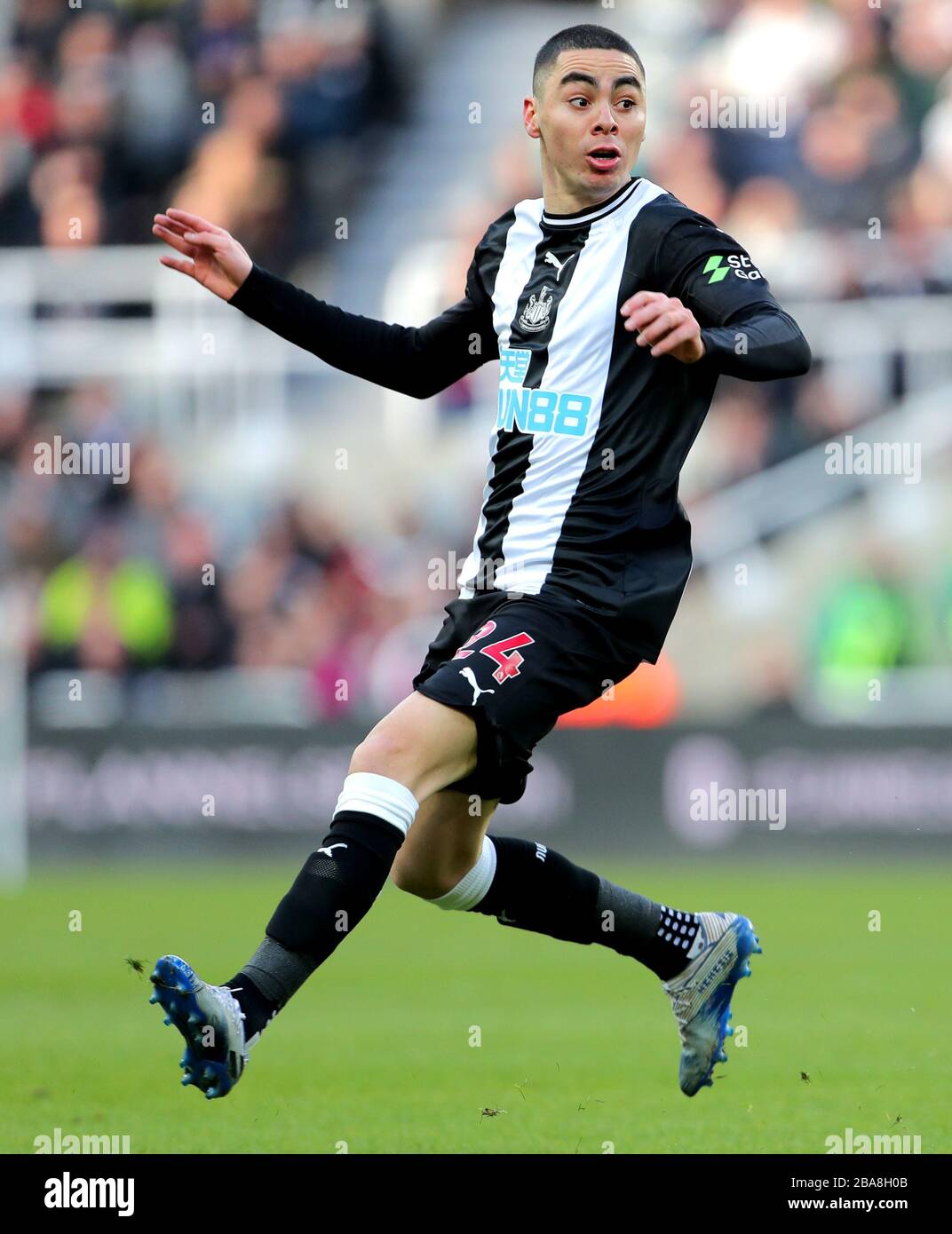 Newcastle United's Miguel Almiron in action Stock Photo - Alamy