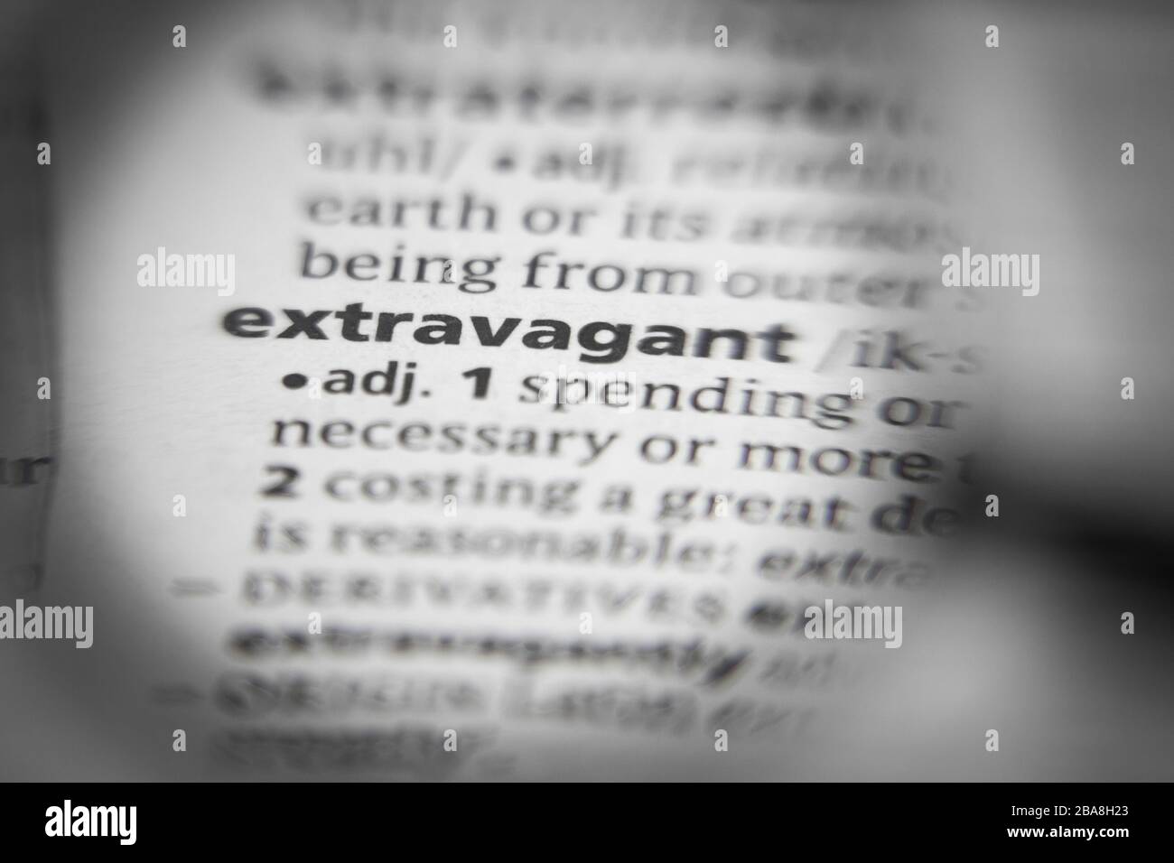 Word or phrase extravagant in a dictionary. Great photo for your needs ...