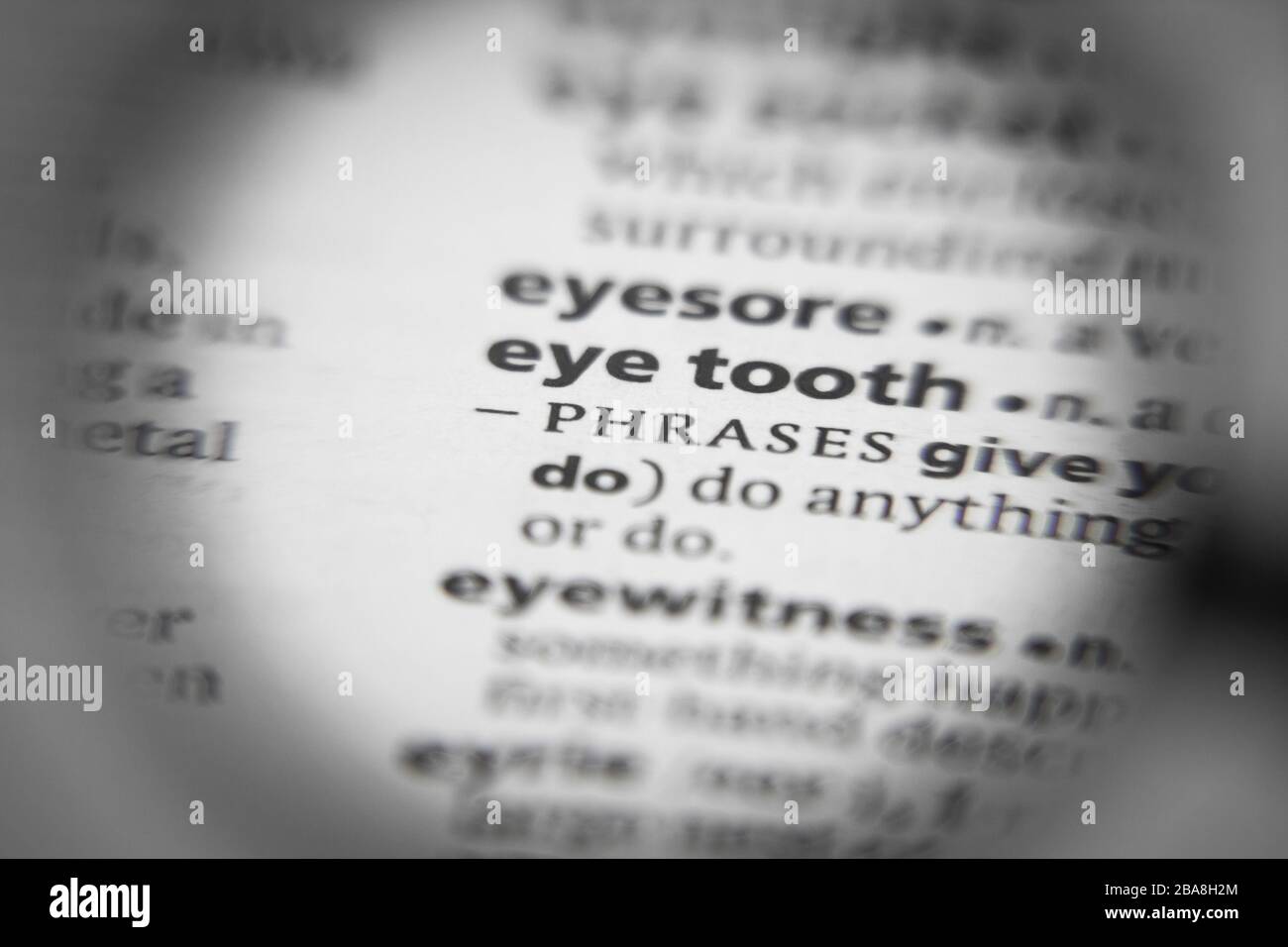 Word or phrase eye tooth in a dictionary. Great photo for your needs ...