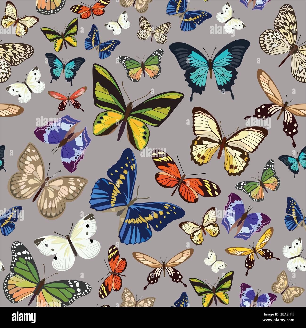 Seamless pattern with small and large colorful butterflies. Vector ...