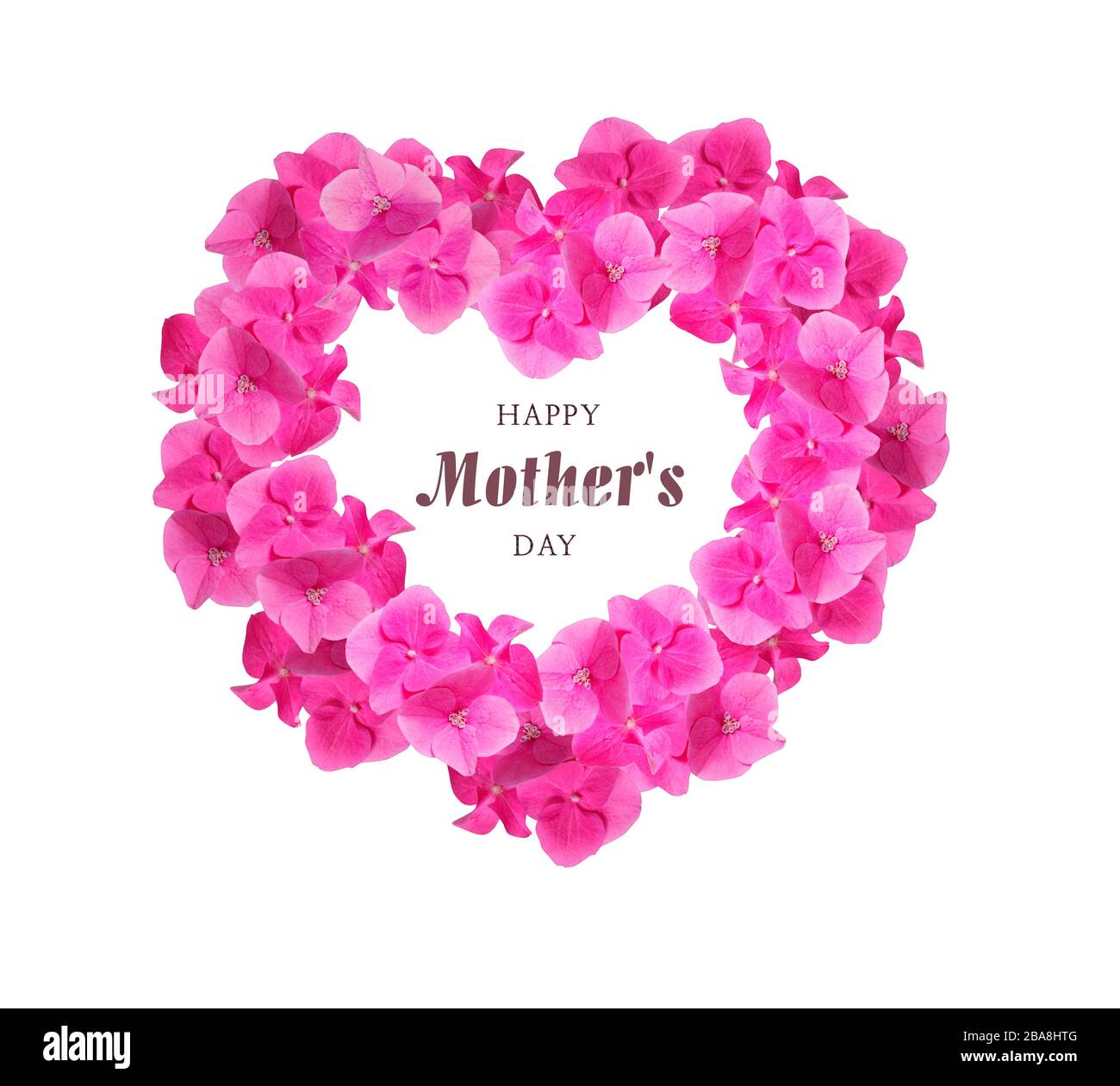 Hydrangea flower editable design Stock Photo - Alamy