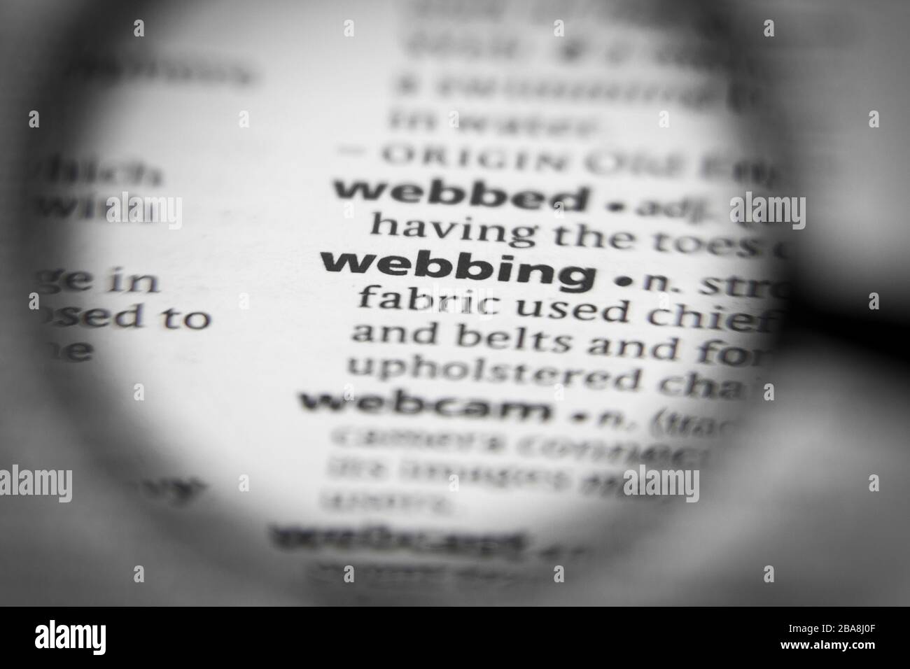 Word or phrase webbing in a dictionary. Great photo for your needs ...