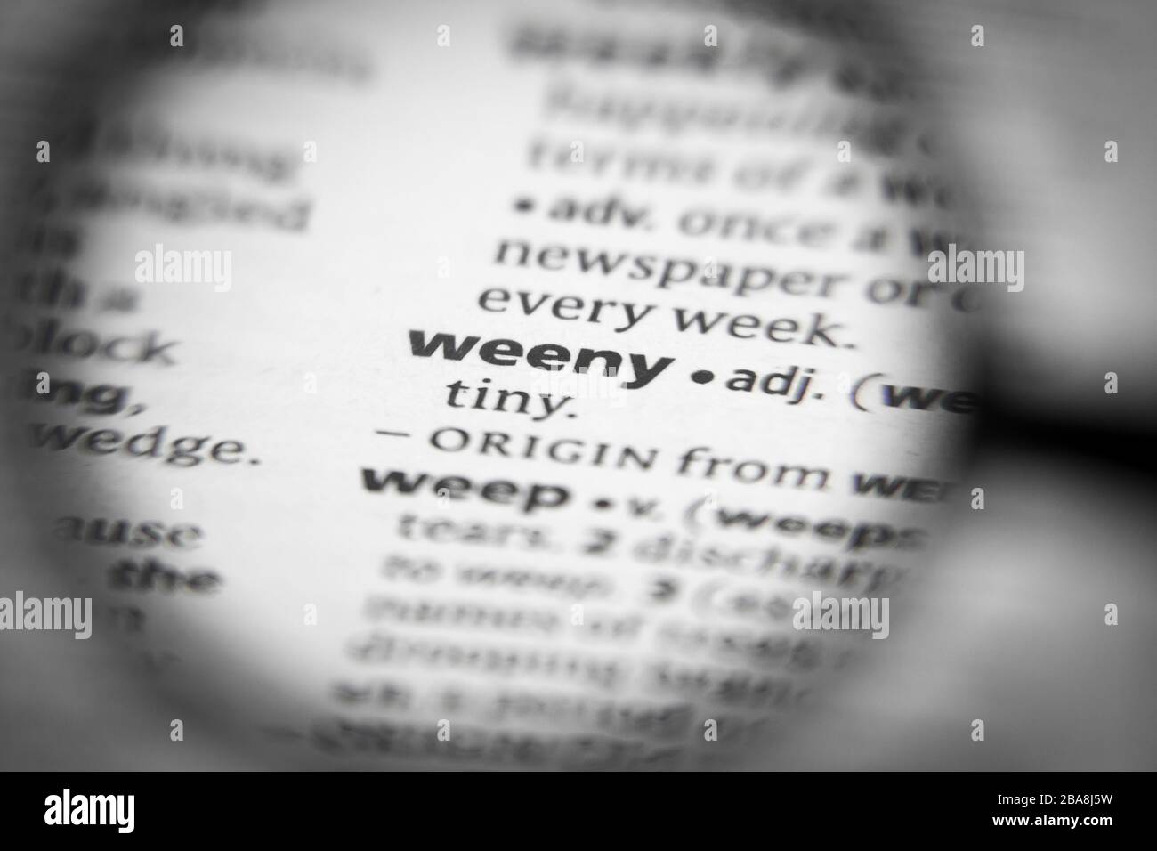 Word or phrase weeny in a dictionary. Great photo for your needs Stock ...