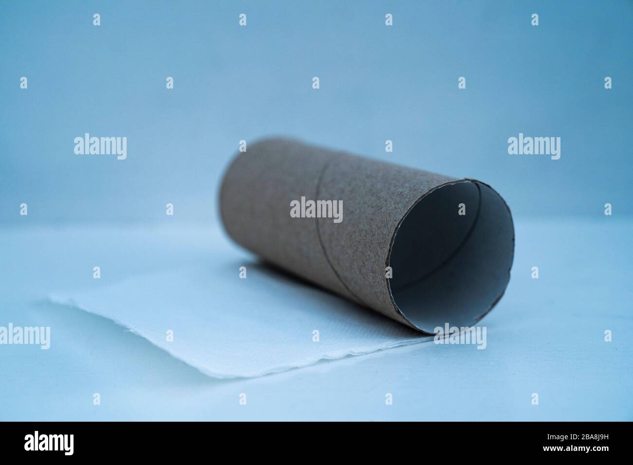 Last sheet of toilet paper Stock Photo - Alamy