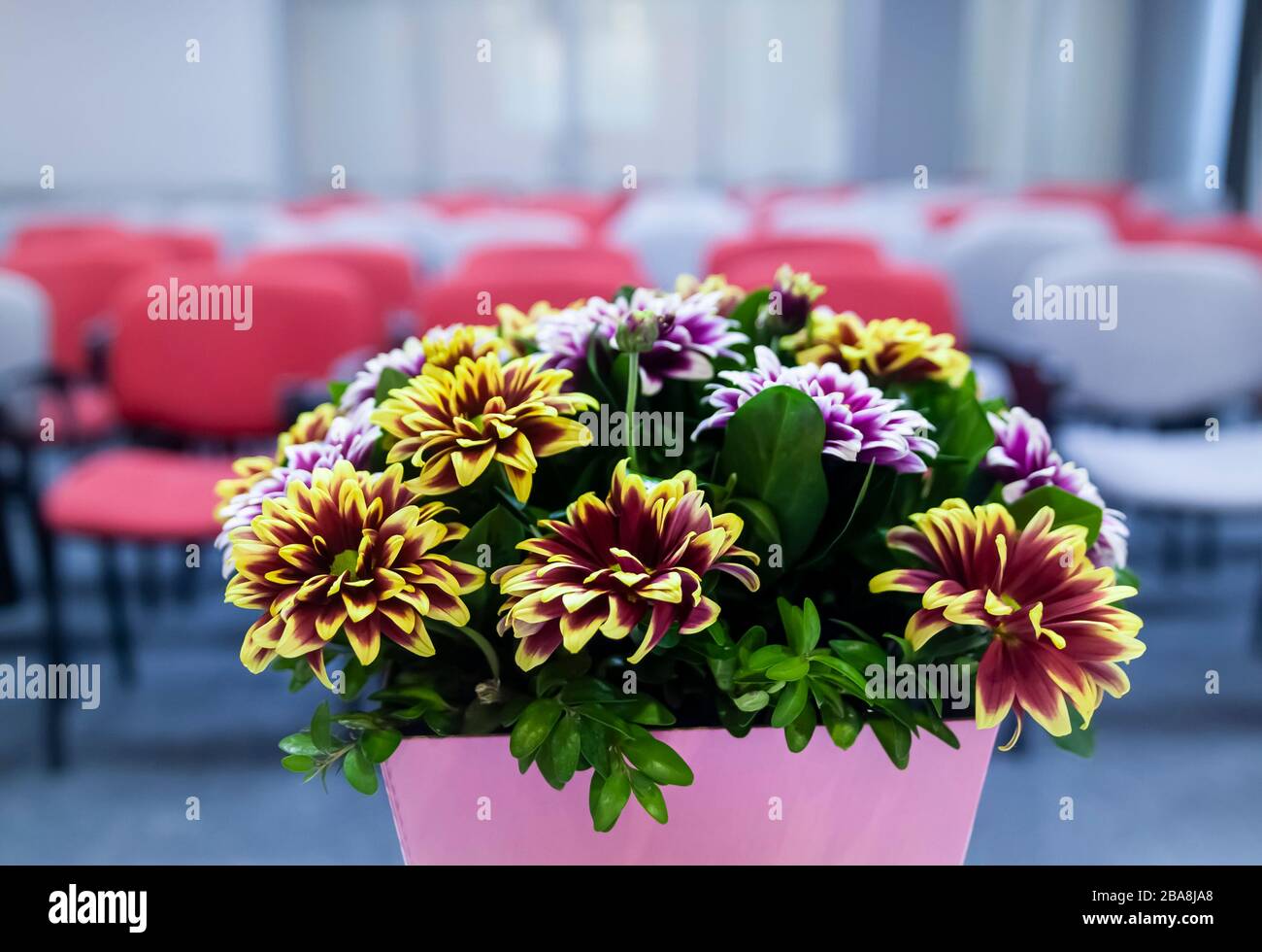 Flowers composition on table in empty conference room, office ...