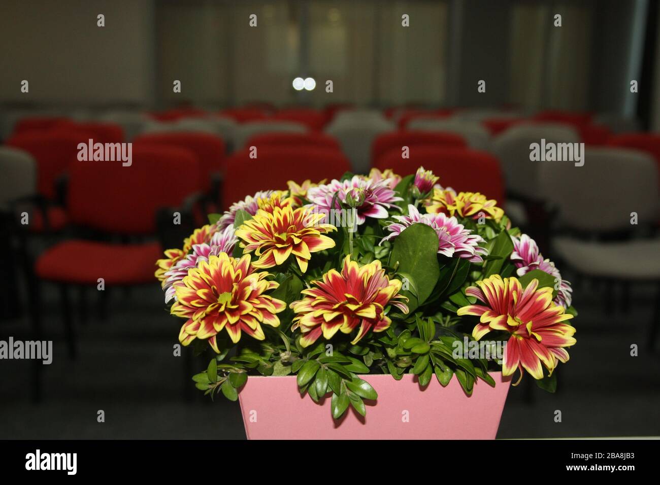 Flowers composition on table in empty conference room, office ...