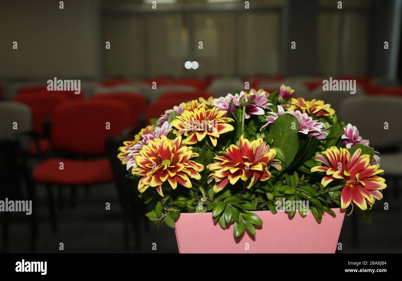 Flowers composition on table in empty conference room, office ...