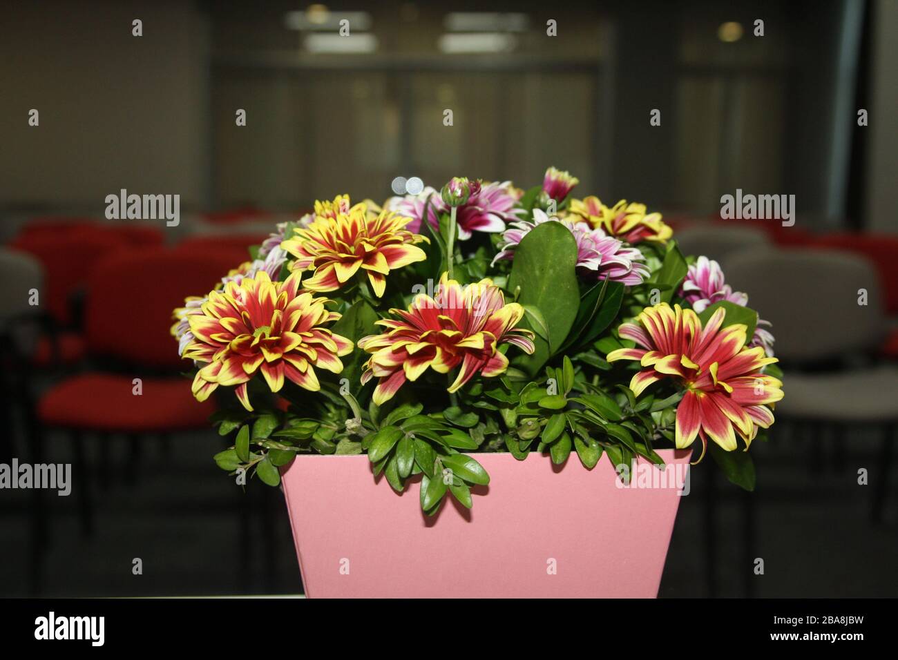 Flowers composition on table in empty conference room, office ...